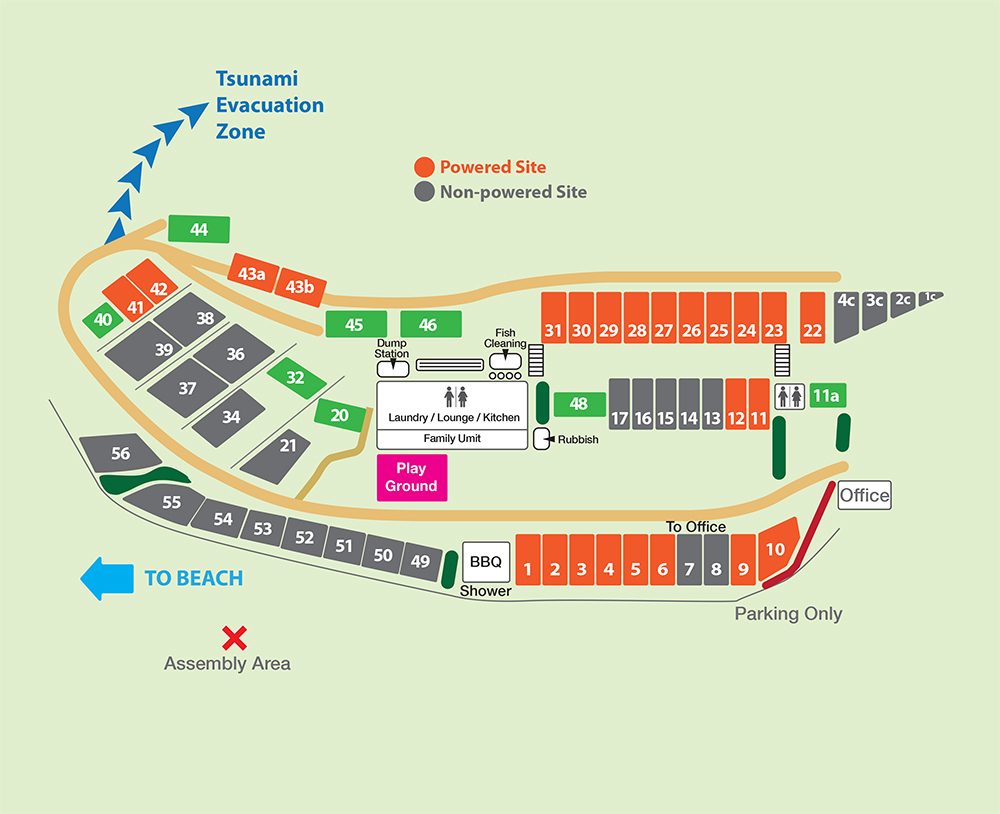 Waipatiki Beach Walk | Beachfront Campsite Napier Hawke's Bay
