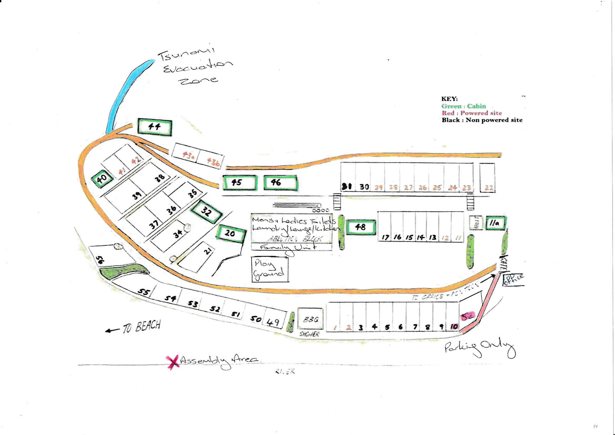Waipatiki Beach Walk | Beachfront Campsite Napier Hawke's Bay