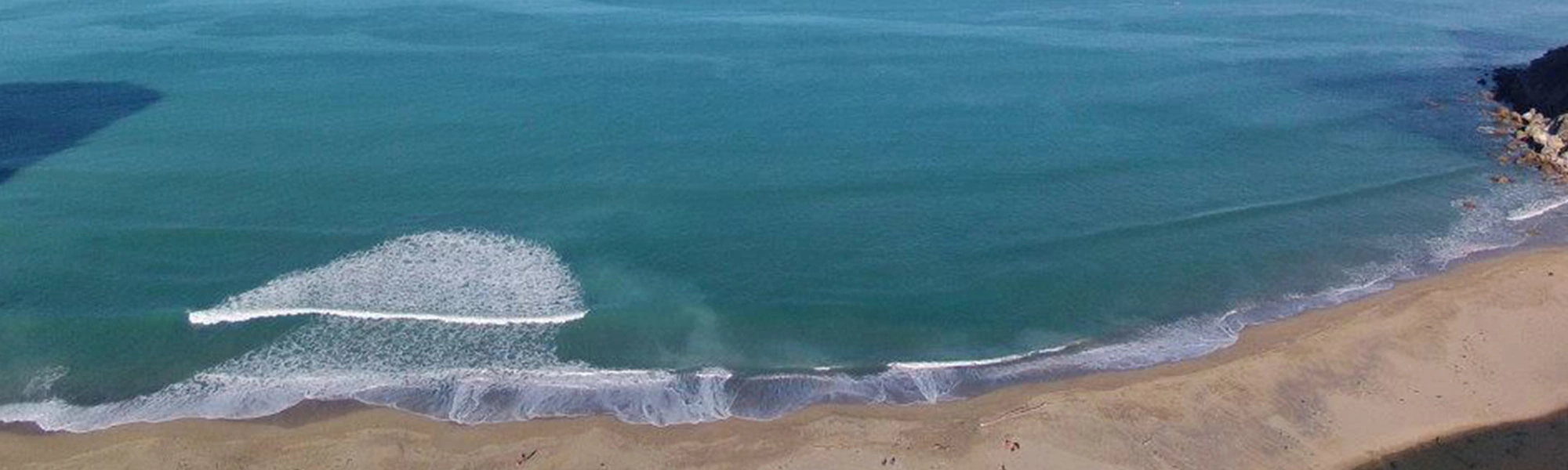 Campground Napier | Waipatiki Beach Holiday Park Hawke's Bay