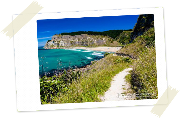 Campground Napier | Waipatiki Beach Holiday Park Hawke's Bay